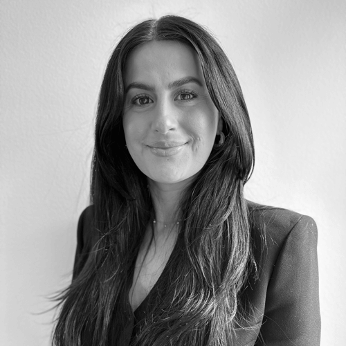 YACHT CONTROLLER | Princess Yachts Sweden Norway Denmark